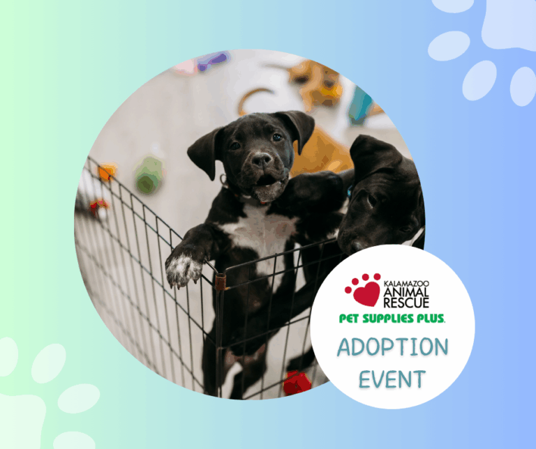 Events from July 28, 2025 – August 9, 2025 – Kalamazoo Animal Rescue